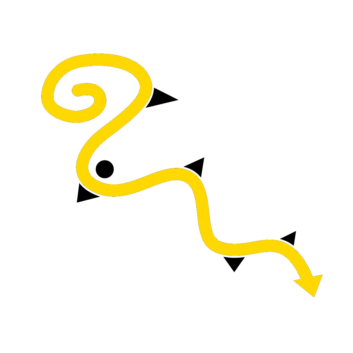 dragon – Grand Pig Horoscope